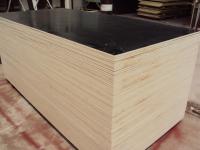 China MR E0 WBP Construction Shuttering Plywood Template 1250x2550mm for sale