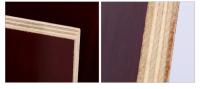 China Commercial Birch Plywood 4x8 Formwork Plywood 18mm Water Resistant for sale