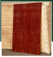 China Commercial Birch Plywood 4x8 Formwork Plywood 18mm Water Resistant for sale