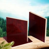 China Commercial Birch Plywood 4x8 Formwork Plywood 18mm Water Resistant for sale
