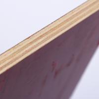 China Commercial Birch Plywood 4x8 Formwork Plywood 18mm Water Resistant for sale