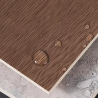 China Modern Lightweight Birch Eucalyptus Plywood Sheets for sale