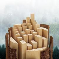 China Versatile Plywood And MDF Ideal Materials For Enhancing Home And Office Decor for sale