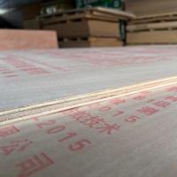 China Factory Direct Sale Of Durable Birch Plywood For Outdoor Projects for sale