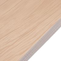 China Durable Poplar Hardwood Combi Core Laser Cutting MDF Modern Design Style for and Modern Interiors for sale