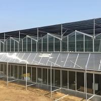 China 9.6m Width Venlo Commercial Glass Greenhouse with Hydroponic System, 120km/㎡ Wind & 55kg/㎡ Snow Resistance for sale