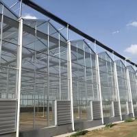China Modern Venlo Glass Greenhouse 9.6-12m Span with 95% Light Transmission for Tomato Cucumber Cultivation for sale