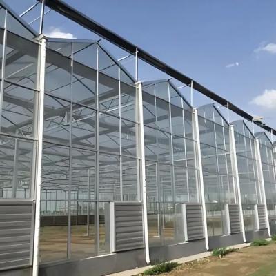 China Modern Venlo Glass Greenhouse 9.6-12m Span with 95% Light Transmission for Tomato Cucumber Cultivation for sale