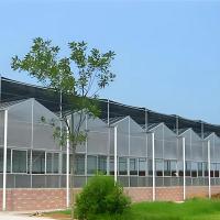 China Polycarbonate Venlo-Type Greenhouse for Celery Growth - 6.0-12.0m Span, 0.40KN/m² Wind Load, Automated Climate Control for sale