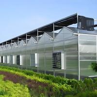 China Venlo Multi Span Glass Greenhouse 9.6-12m Width with 0.6KN Wind Load for Vegetable Farming for sale