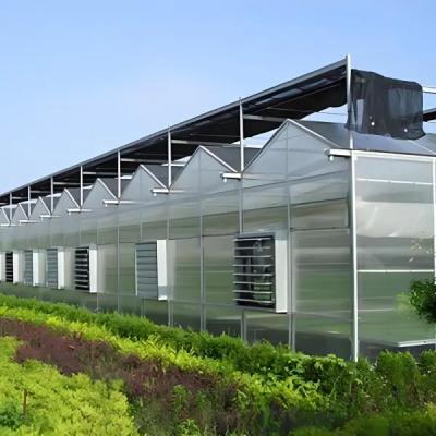 China Venlo Multi Span Glass Greenhouse 9.6-12m Width with 0.6KN Wind Load for Vegetable Farming for sale