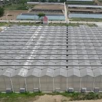 China UV-Resistant PC Sheet Venlo Greenhouse 9.6m Width with Ebb-Flow Seedbeds & Humidity Control Systems for sale