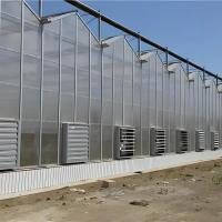 China Venlo Multi Span Glass Greenhouse 9.6-12m Width with 0.6KN Wind Load for Vegetable Farming for sale