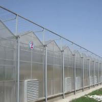 China Polycarbonate Venlo Type Greenhouse for Tomato Cultivation 30-60m Length with 0.6KN/㎡ Wind Load for sale