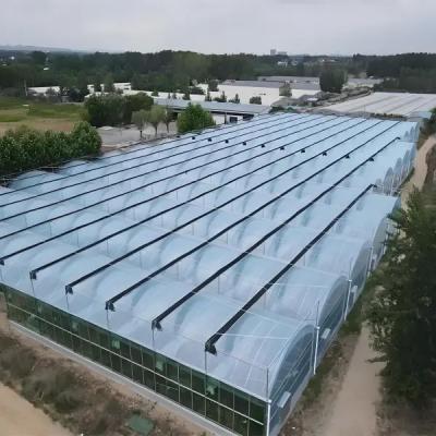 China Automated Venlo-Type Greenhouse with 9-12m Width, Multi-Layer PC Panels and Seedbed System for Hydroponic Cultivation for sale