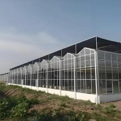 China Polycarbonate Venlo Greenhouse for Flower Hydroponics Durable for sale