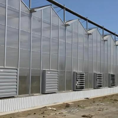 China Polycarbonate Greenhouse for Cabbage Cultivation 9.6m Width 4.5-8m Height with 0.4KN/m² Snow Load for sale