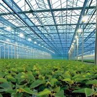 China Automated Venlo-Type Greenhouse with 9-12m Width, Multi-Layer PC Panels and Seedbed System for Hydroponic Cultivation for sale