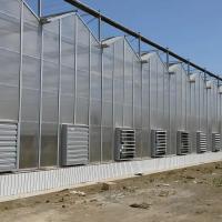 China Venlo Polycarbonate Hydroponic Greenhouse Frame with 8mm Double-Layer Panels and 89% Light Transmittance for sale