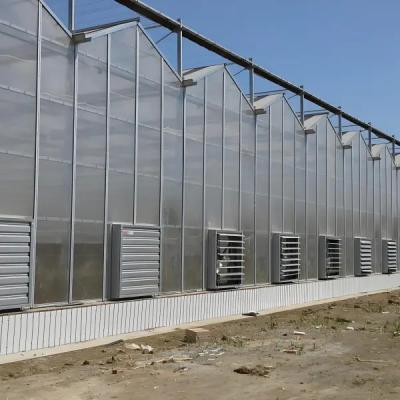 China Venlo Polycarbonate Hydroponic Greenhouse Frame with 8mm Double-Layer Panels and 89% Light Transmittance for sale