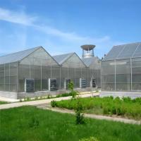 China Commercial Venlo Dutch Polycarbonate Greenhouse with 89% Light Transmittance and 8mm Panels for Fruit Vegetable Cultivation for sale