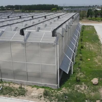 China Strong Type Polycarbonate Greenhouse with 80-90% Light Transmission and 10-15 Year Lifespan for Plant Cultivation for sale
