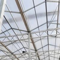 China Venlo-Type Polycarbonate Greenhouse for Grape Cultivation - 9.6m Width, 0.25KN/m² Snow Load, Climate Control System for sale
