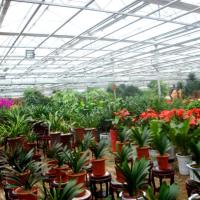 China Venlo Glass Greenhouse for Sunflower Growing 9.6m Width 4.5m-8m Height for sale