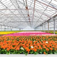 China Venlo Glass Greenhouse with Hydroponic System - 8m Width Commercial Grade Insulated Structure for sale