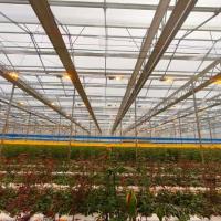 China Customizable Venlo Multi - Span Glass Greenhouse for Orchid Cultivation for sale
