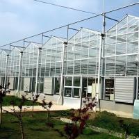 China Sainpoly Hydroponic Lettuce Venlo Greenhouse with 2-200m PVC Pipes and 5-10℃ Cooling System for sale