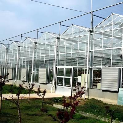 China Sainpoly Hydroponic Lettuce Venlo Greenhouse with 2-200m PVC Pipes and 5-10℃ Cooling System for sale
