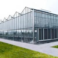 China Commercial Venlo Greenhouse 8x15m with Hydroponic System and Polycarbonate Panels for Year-Round Vegetable Production for sale