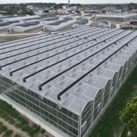 China Smart Galvanized Steel Venlo Glass Greenhouse 9.6m-12m Width with 120km/㎡ Wind Resistance for sale