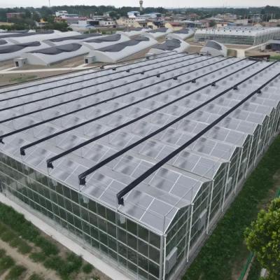 China Smart Galvanized Steel Venlo Glass Greenhouse 9.6m-12m Width with 120km/㎡ Wind Resistance for sale