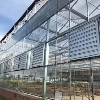 China Commercial Venlo Type Multi-Span Glass Greenhouse for Soilless Cultivation with 30% Ventilation Area and 75-90% Water Efficiency for sale