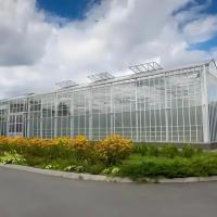 China Commercial Venlo Greenhouse 8x15m with Hydroponic System and Polycarbonate Panels for Year-Round Vegetable Production for sale