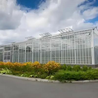 China Commercial Venlo Greenhouse 8x15m with Hydroponic System and Polycarbonate Panels for Year-Round Vegetable Production for sale