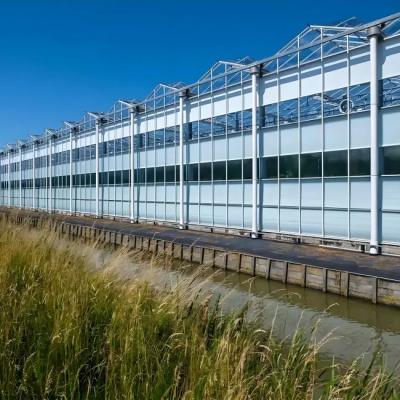 China Sturdy Structure Double Glass Venlo Greenhouse with 50-83% Improved Drainage and Automatic Temperature Control for sale