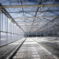 China Galvanized Venlo Type Commercial Greenhouse with 12m Span Width and 4-5mm Glass Options for High Light Transmission for sale