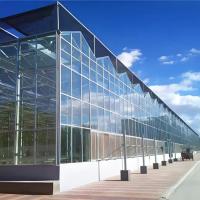 China Venlo Glass Greenhouse with Hydroponic System - 8m Width Commercial Grade Insulated Structure for sale