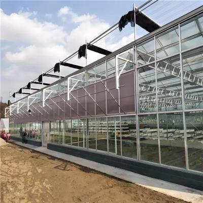 China Modern Venlo Commercial Glass Greenhouse 9.6-12m Width with Galvanized Steel Frame and 4-5mm Glass for sale