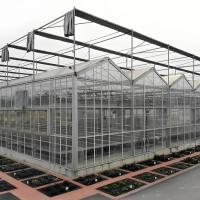 China Strong Structure Galvanized Venlo Type Commercial Greenhouse with 9.6m-12m Span Width and 4mm-5mm Glass Options for sale