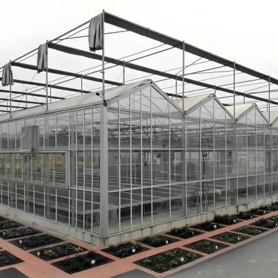 China Strong Structure Galvanized Venlo Type Commercial Greenhouse with 9.6m-12m Span Width and 4mm-5mm Glass Options for sale
