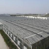 China Hydroponic Venlo Glass Greenhouse 9.6m-12m Span with Customizable Dimensions and Environmental Control Systems for sale
