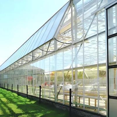 China Intelligent Venlo Glass Greenhouse for Tomato & Strawberry Growing - 9.6m to 12m Span Width with 4mm/5mm Glass for sale