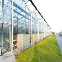 China Glass Greenhouse for Hydroponic Vegetables with 90-97% Light Transmittance and 25+ Year Design Life for sale