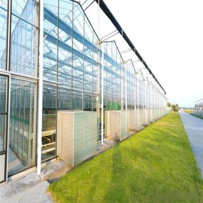 China Glass Greenhouse for Hydroponic Vegetables with 90-97% Light Transmittance and 25+ Year Design Life for sale
