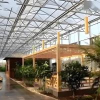 China Venlo Type Double Glass Greenhouse with Hydroponic System - Steel Frame & Polycarbonate Panels for Commercial Farming for sale