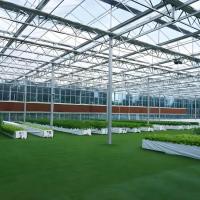 China Sturdy Structure Double Glass Venlo Greenhouse with 50-83% Improved Drainage and Automatic Temperature Control for sale